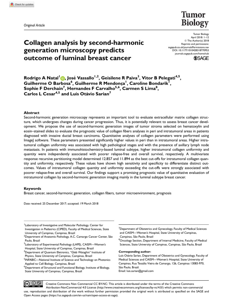 Natal, 2018 | PDF | Cancer | Breast Cancer