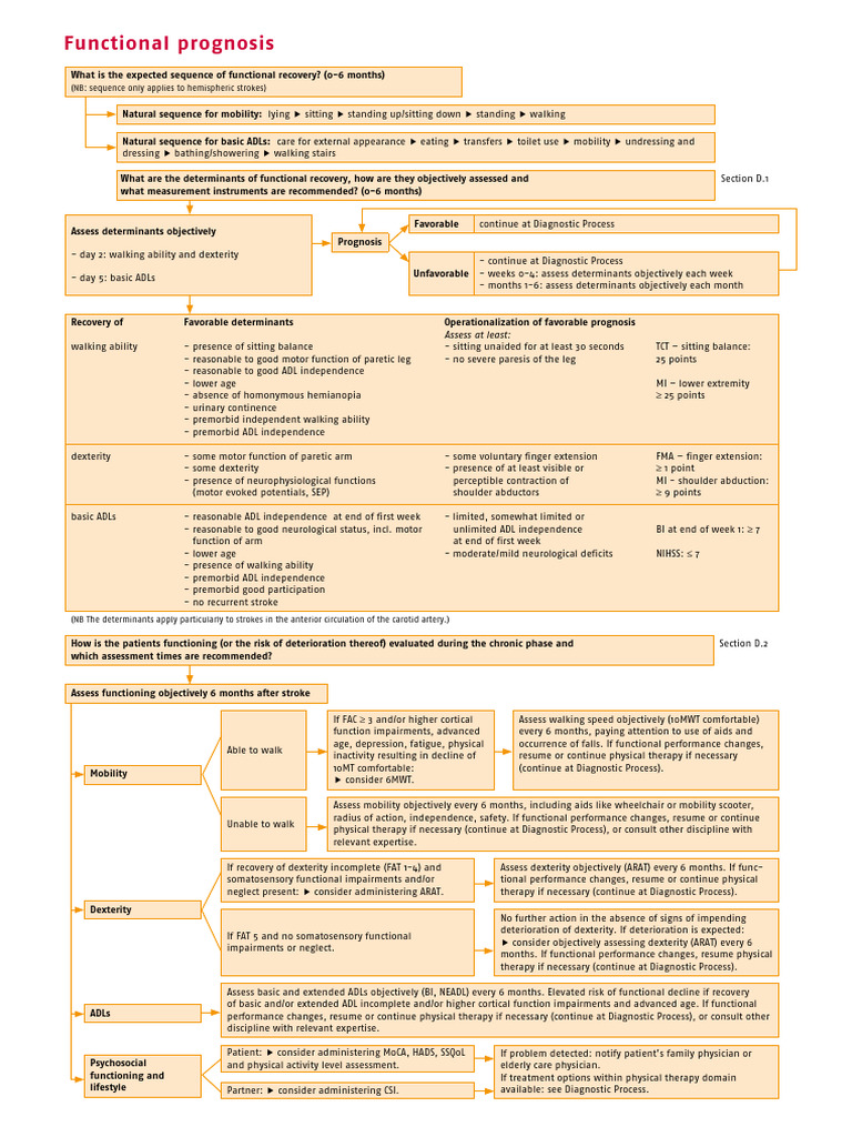 Stroke KNGF | PDF | Stroke | Physical Therapy