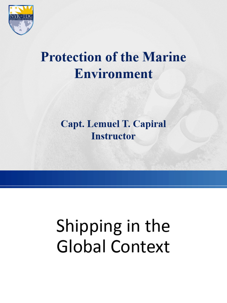 MODULE 2 - WEEK 2 - PPT 2 Shipping in The Global Context | PDF ...
