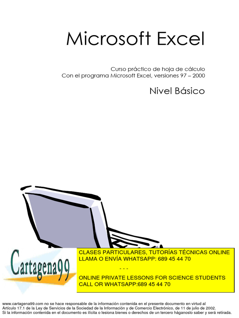 Microsoft Excel - Nivel Básico | PDF | Hoja de cálculo | Microsoft Excel