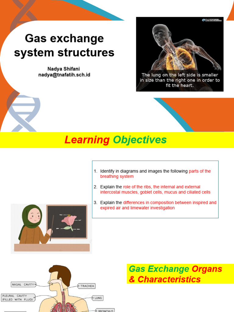 1706578314-25. Gas Exchange Structures | PDF | Lung | Exhalation