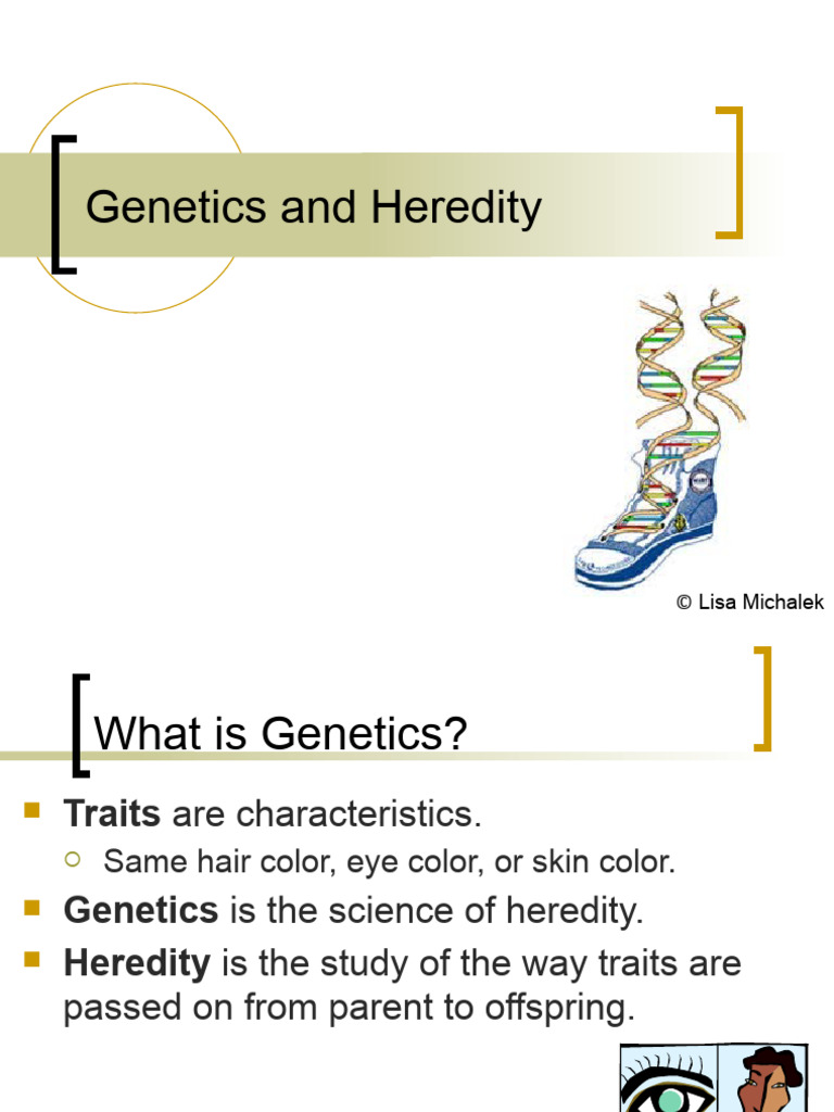 Genetics and Heredity | PDF | Dominance (Genetics) | Genetics