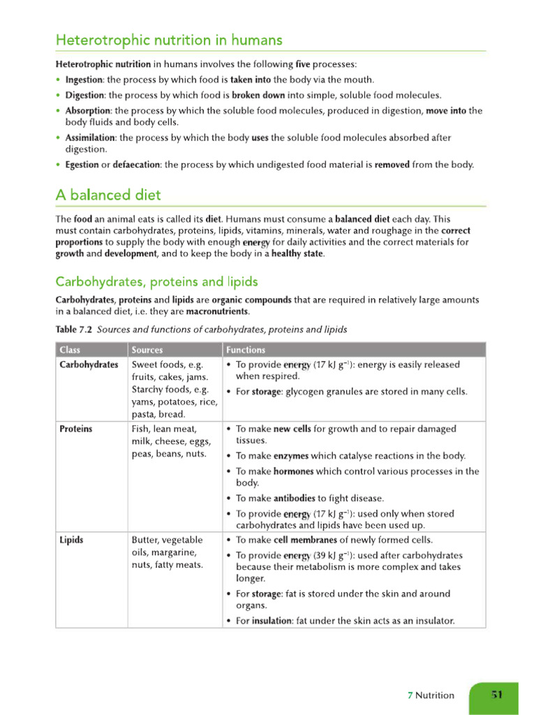 Human Nutrittion Handout | PDF