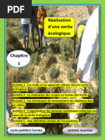 Evolution Des Systemes Techniques | PDF | Art | Ordinateurs