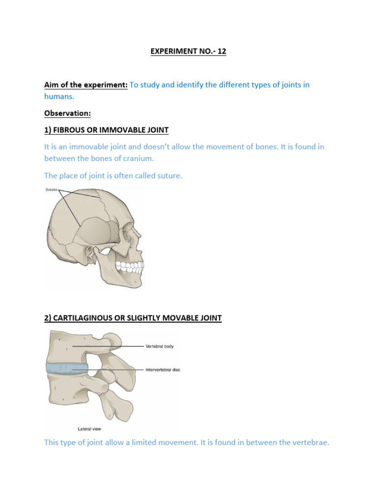 Bio Xi Expt - 12 | PDF