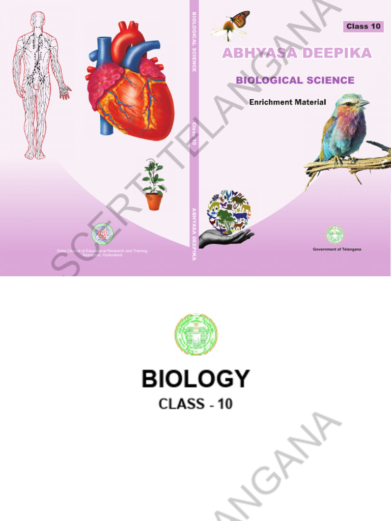 10th Class Biology Abhyasa Deepika PDF | PDF | Respiratory Tract ...