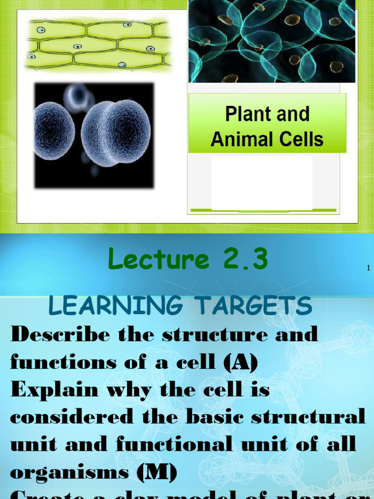 Science 7 - Module 2 3-Cell Structure-2 | PDF | Cell (Biology ...