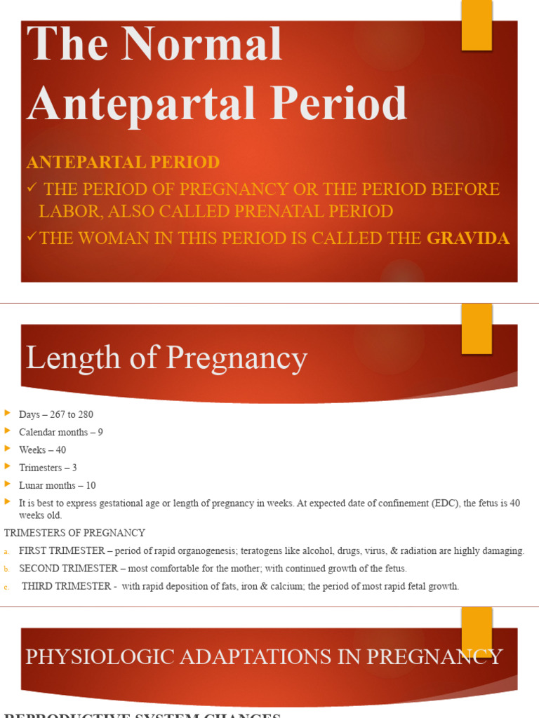 Understanding the Antepartal Period | PDF | Pregnancy | Fetus