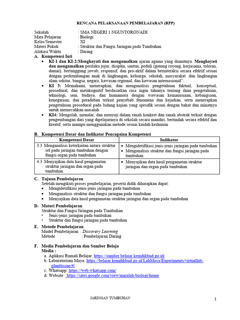 RPP Jaringan Tumbuhan | PDF