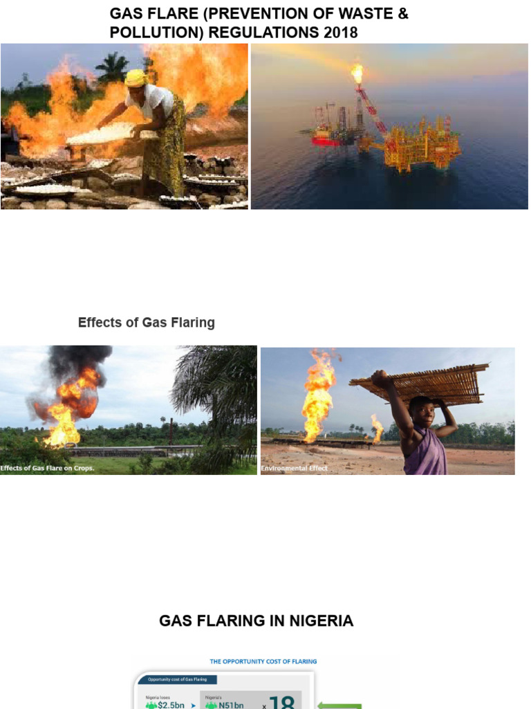 Gas Flare (Prevention of Waste and Pollution) Regulations 2018 - 2 ...
