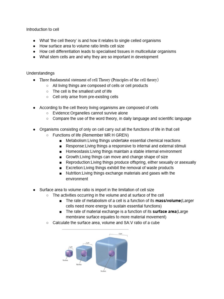 IB Biology - Introduction To Cell | PDF | Cell (Biology) | Organisms