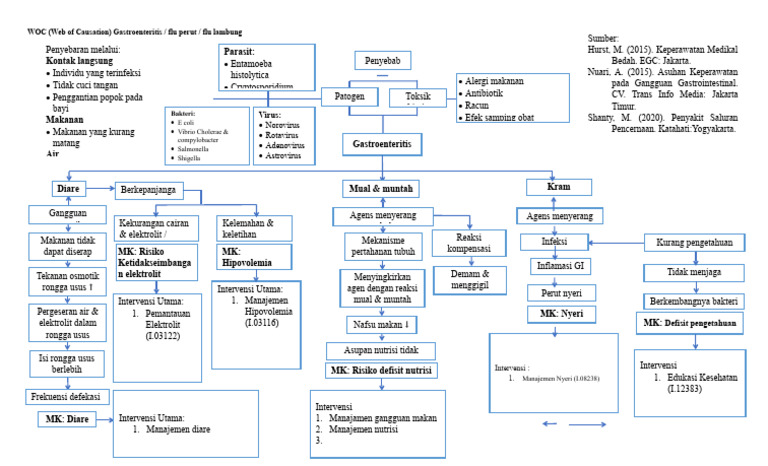 WOC Gastroenteritis | PDF