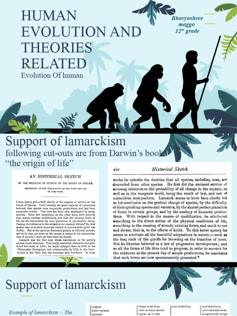 Evolution | PDF | Natural Selection | Evolution