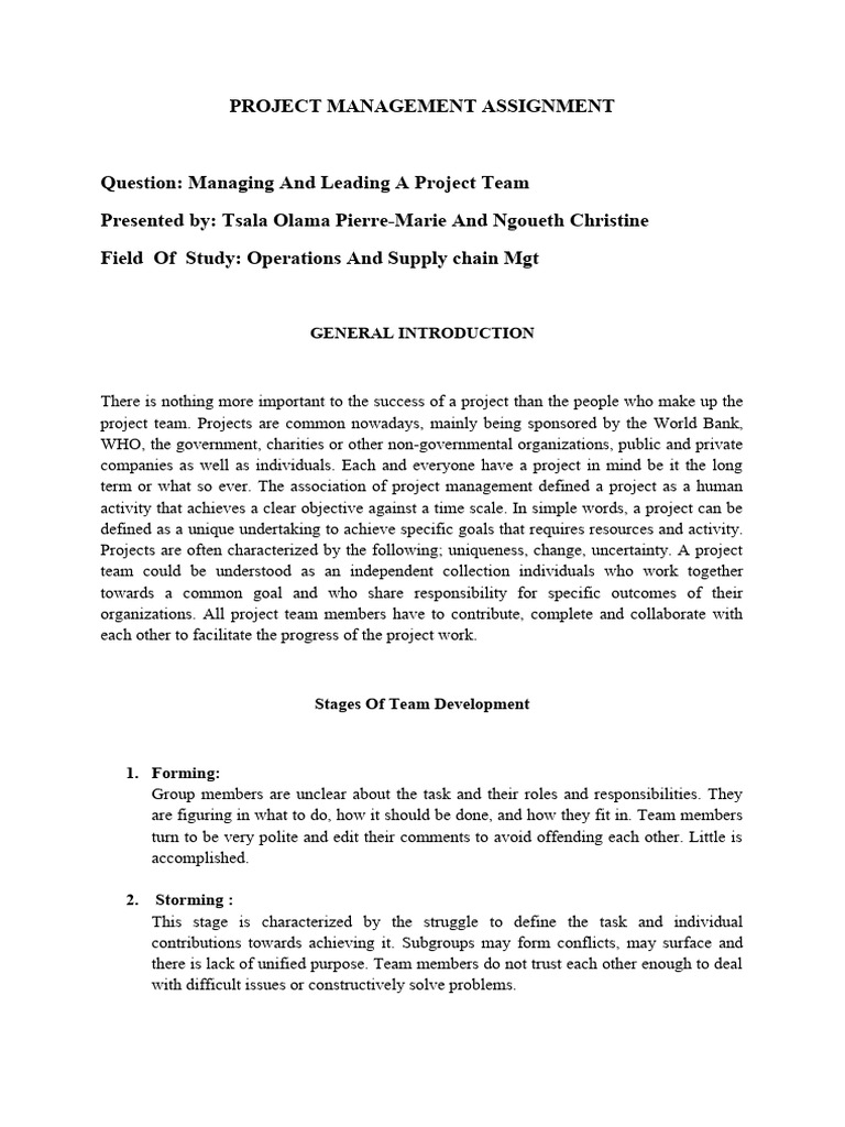 Project Mgt. Assignment | PDF | Power (Social And Political) | Project Management