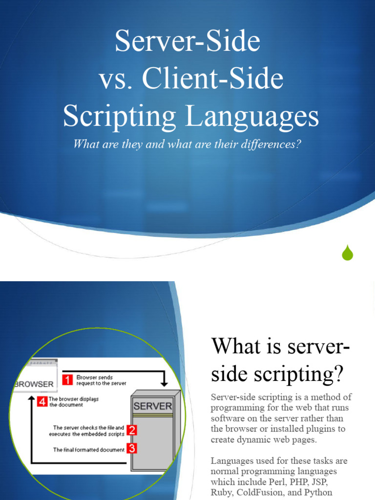 Cs and Ss Script | PDF | Dynamic Web Page | World Wide Web
