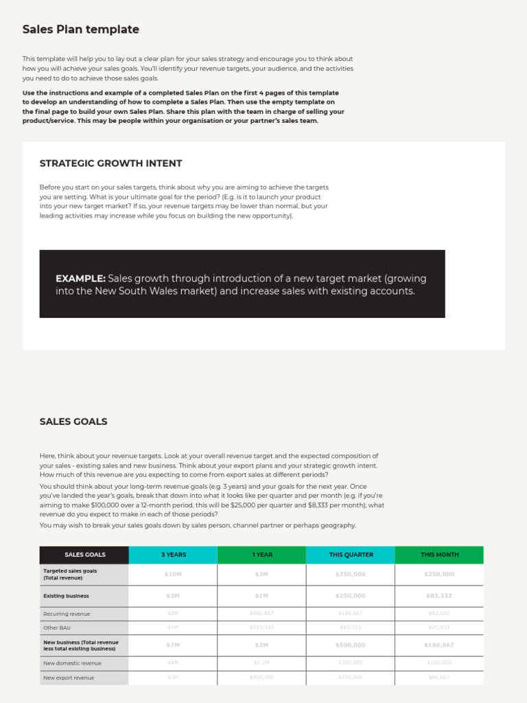 Sales Plan Template | PDF | Sales | Exports