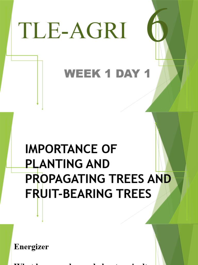 Tle6 Agri Q1 Week1 | PDF | Trees | Plants