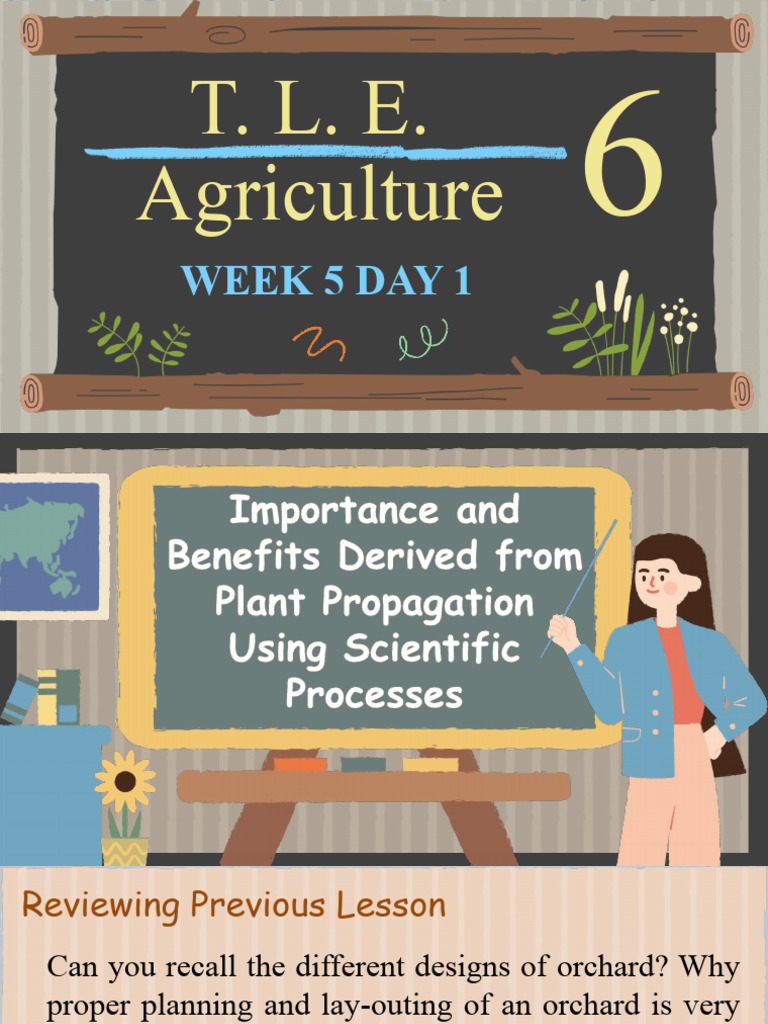 Tle Agri 6 Week 5 Day 1 4 | PDF | Grafting | Horticulture