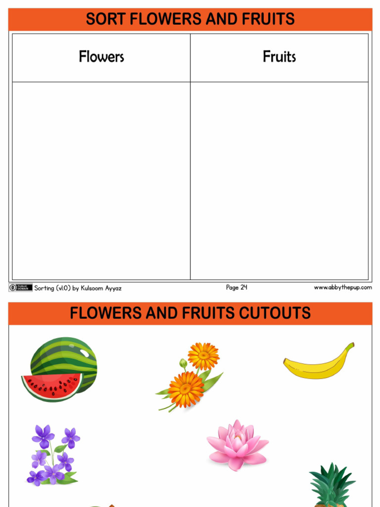 Sorting Flowers and Fruits Puzzle Games | PDF