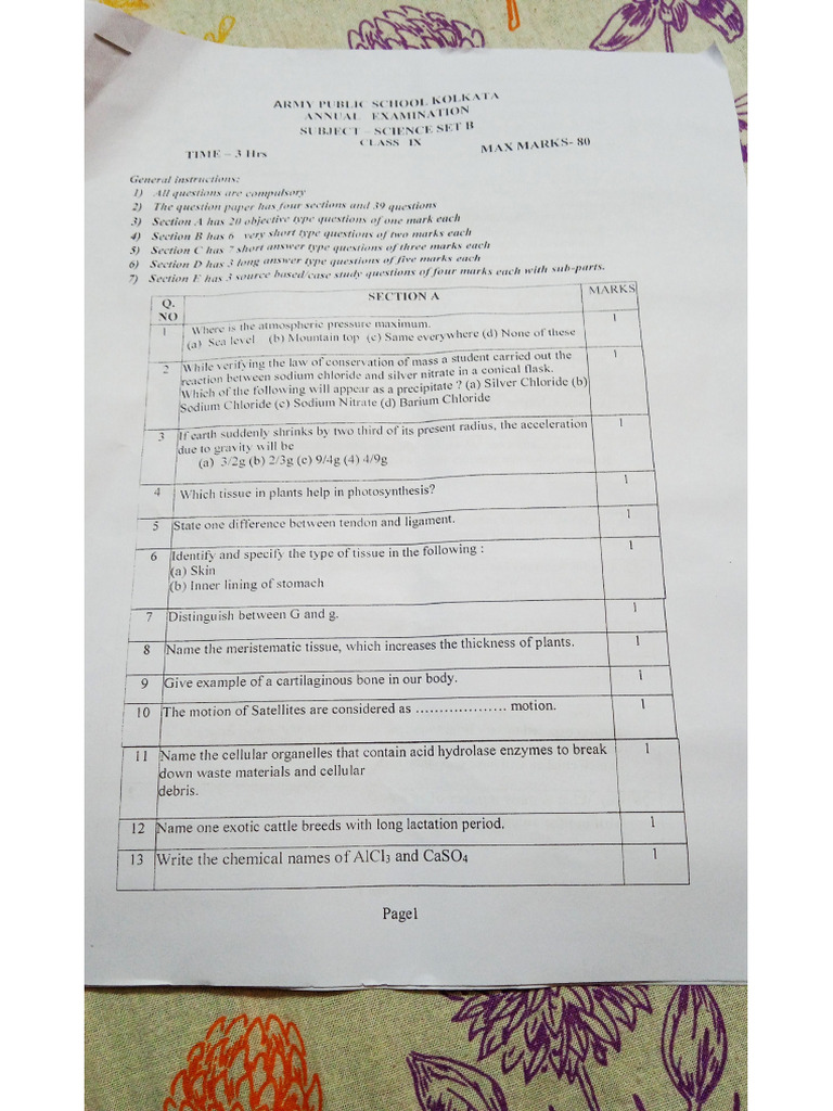 Class 9 APS Annual Exam Science | PDF