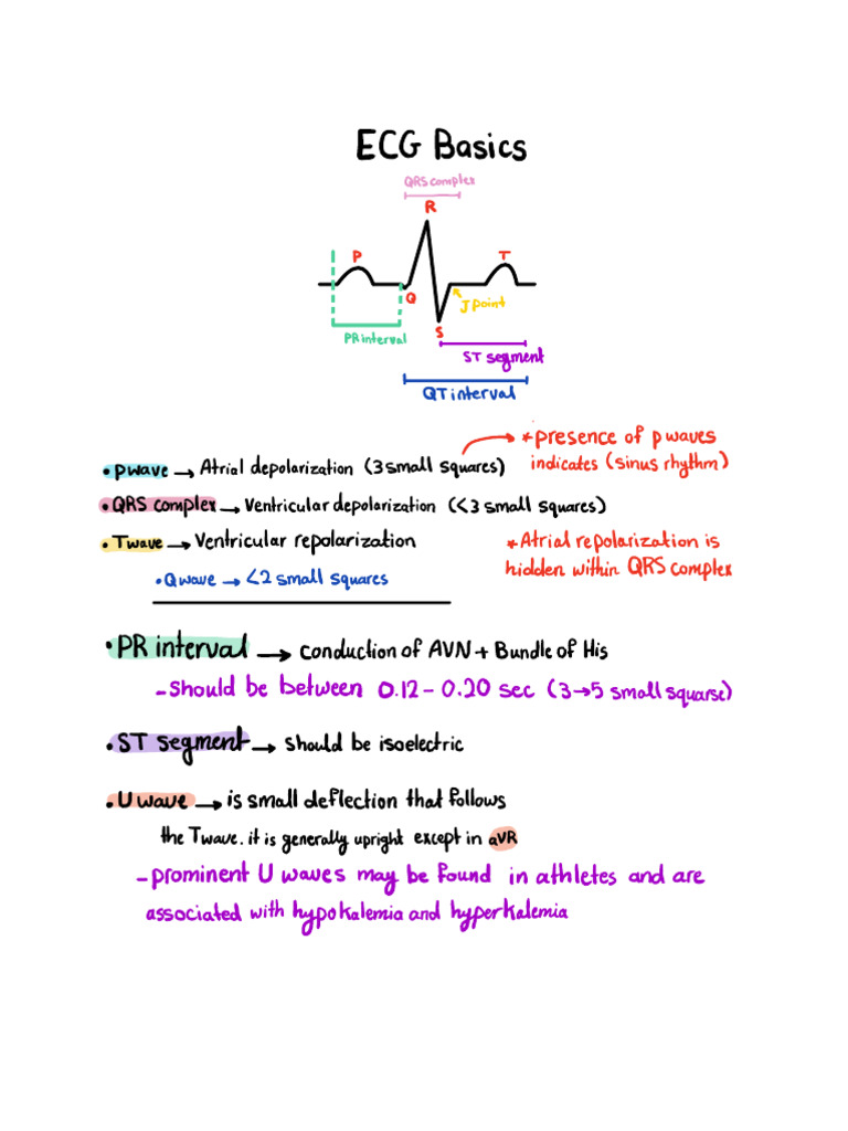 Osce - Ecg | PDF | Electrocardiography | Heart