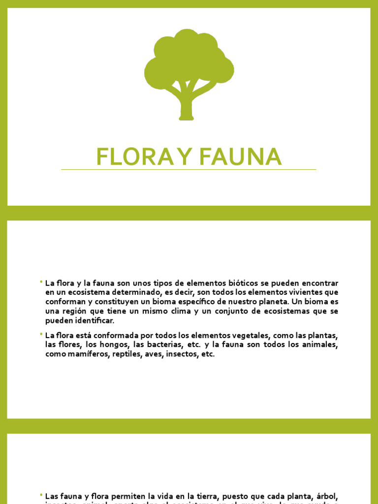 Fauna y Flora | PDF