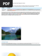 PP2 Creative Activities Curriculum Designs May 2024 Final | PDF ...