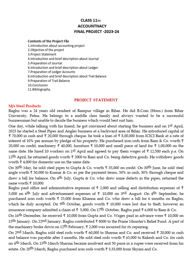 Class 11 Accountancy Project Overview | PDF | Expense | Cheque