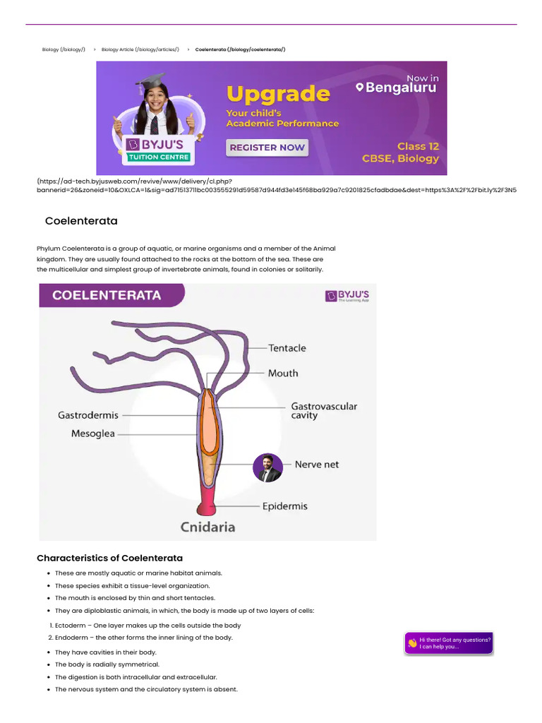 Phylum Coelenterata - Characteristics and Their Classification | PDF ...