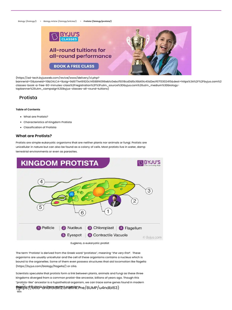 Kingdom Protista - Characteristics and Classification of Protist | PDF ...