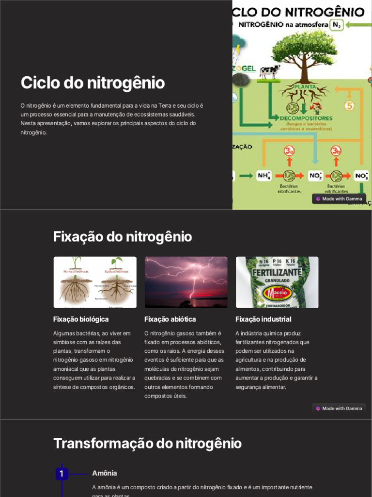 Ciclo-do-nitrogenio | PDF | Nitrogênio | Natureza