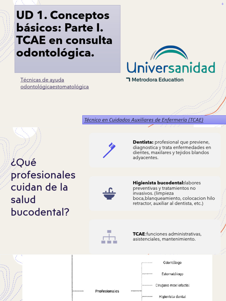 1.1.conceptos Básicos - TCAE | PDF