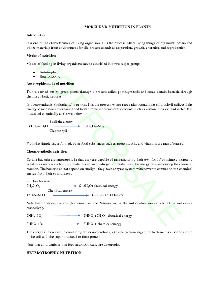 Zly 101 Nutrition in Plant | PDF | Chloroplast | Photosynthesis