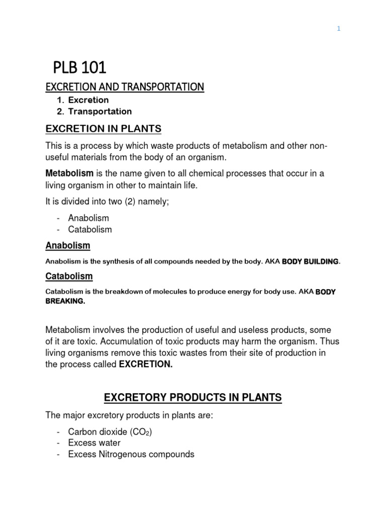 PLB 101 - Excretion and Transportation Note, Typed | PDF | Excretion | Leaf
