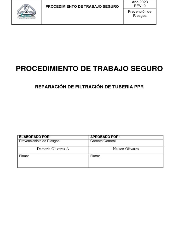 PTS PPR | PDF | Cloruro de polivinilo | Seguridad y salud ocupacional