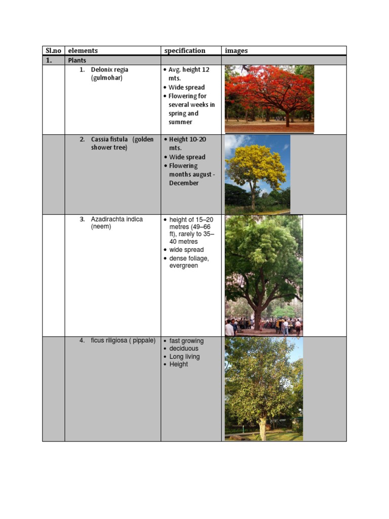 SL - No Elements Specification Images 1. Plants | PDF