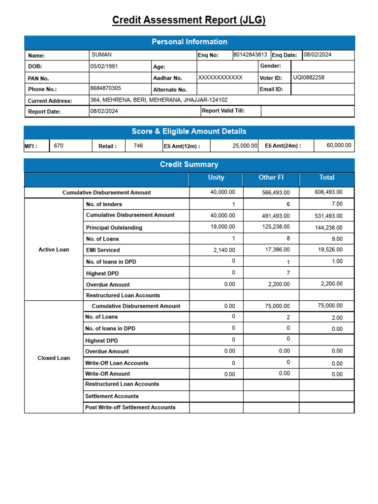 Credit Summary Report | PDF | Loans | Microfinance