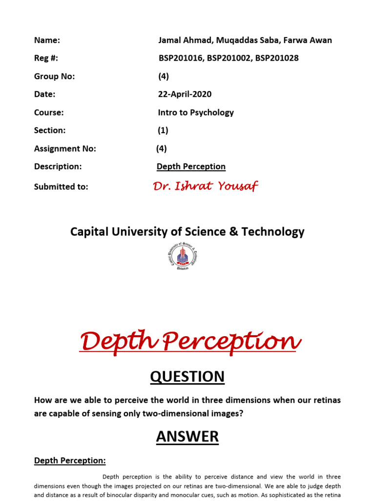 Understanding Depth Perception in Psychology | PDF | Cognition | Electromagnetic Radiation