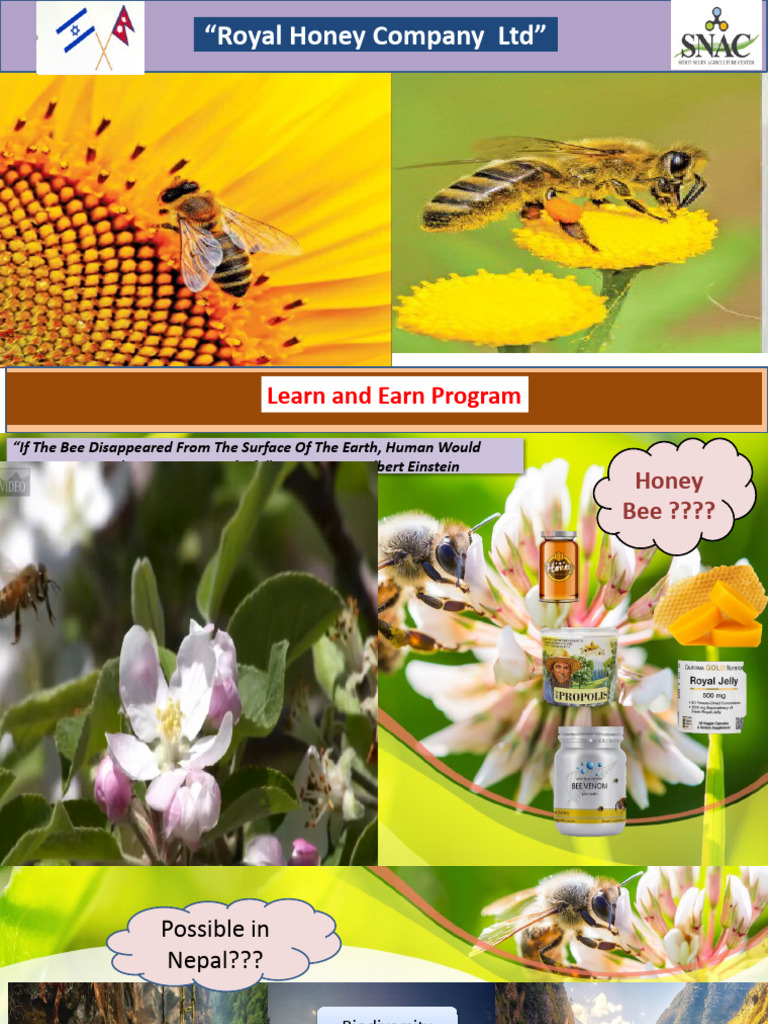 Honey Bee Project Overview in Nepal | PDF | Beehive | Honey