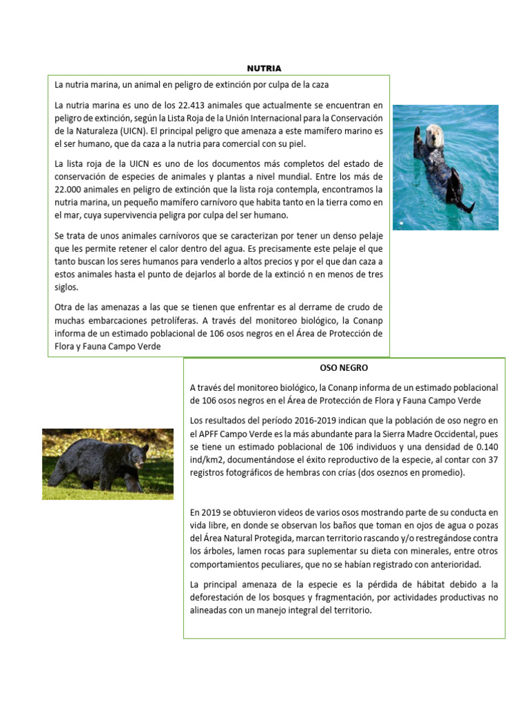 NUTRIA | PDF | Osos | Nutria
