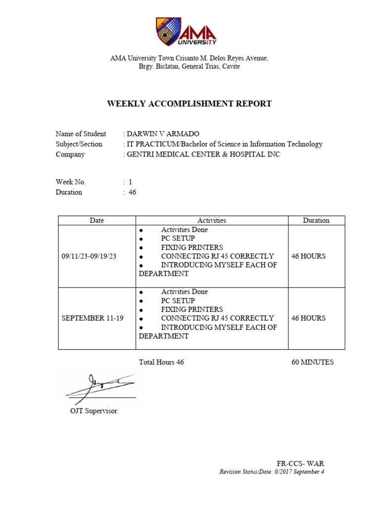 Weekly IT Practicum Report Summary | PDF