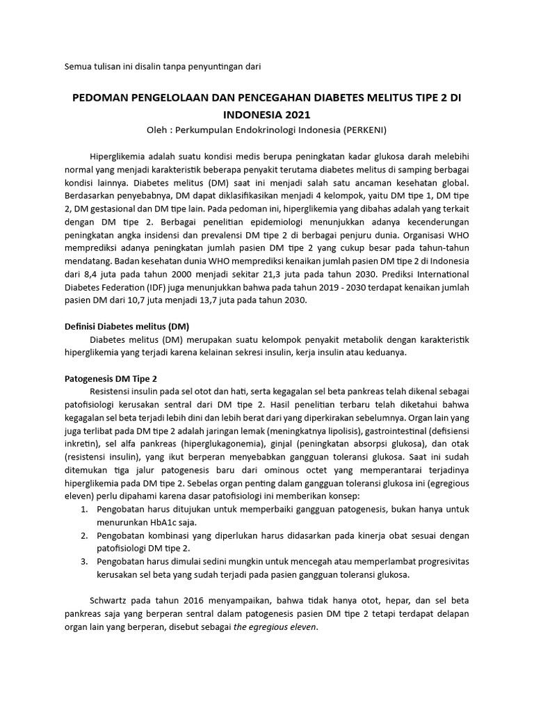 Guide IPE Roleplay DM Tipe 2 | PDF