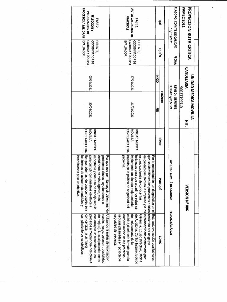 Anexos Pamec 2021 | PDF