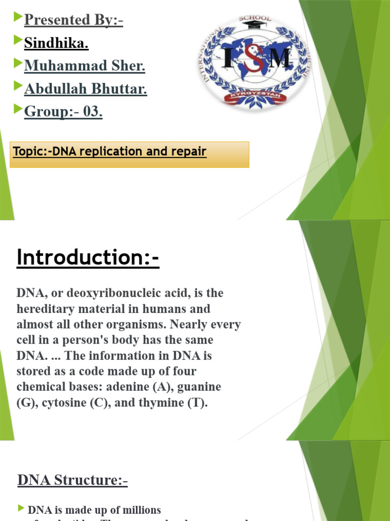 DNA Replication and Repair Overview | PDF | Dna Replication | Dna