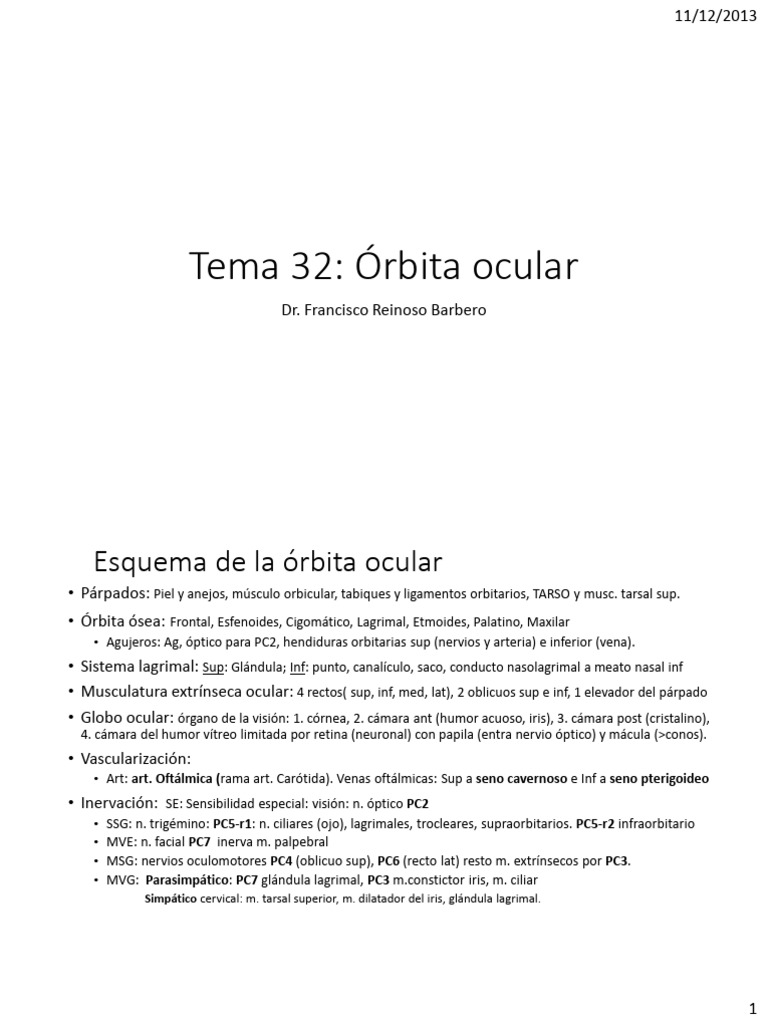 Tema 32. Órbita y Ojo. | PDF | Ojo humano | Órganos sensoriales