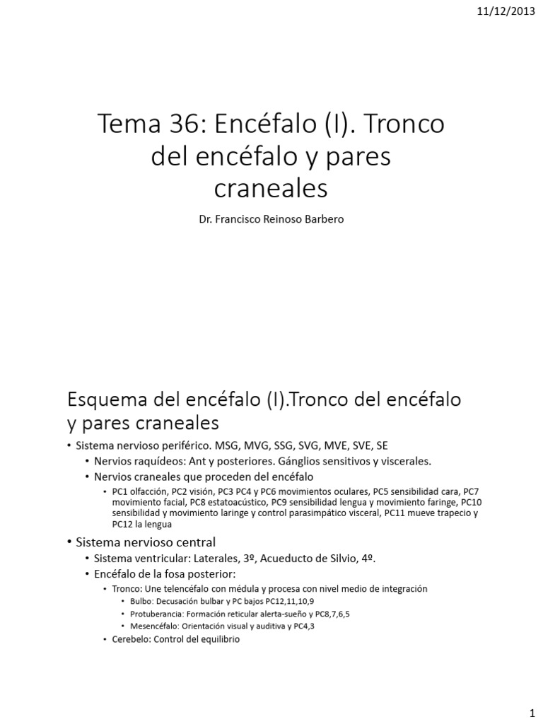 Encéfalo: Tronco y Pares Craneales | PDF | Anatomía | Neurociencia