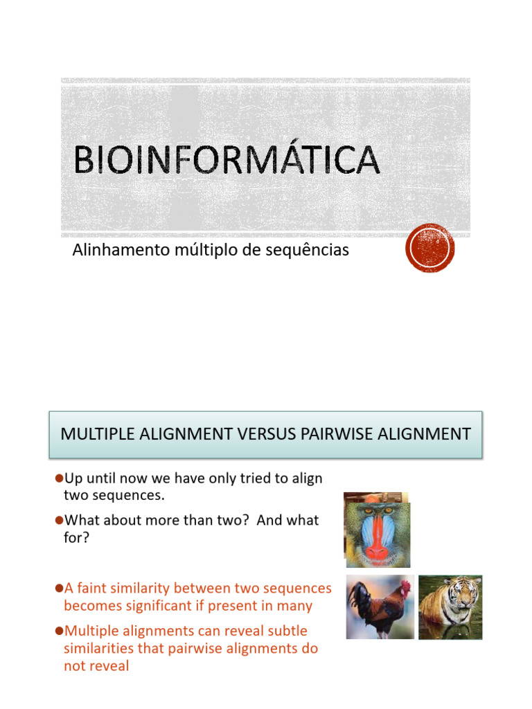 AlinhamentosMultiplos_2023-24 | PDF | Sequence Alignment | Bioinformatics