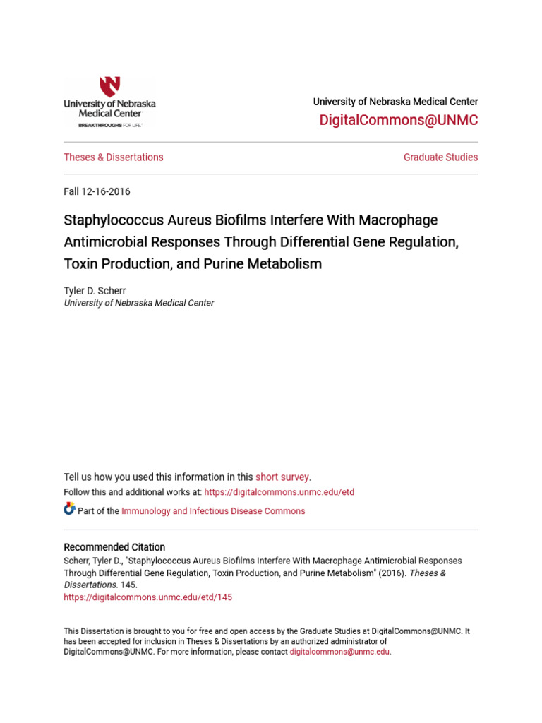 Staphylococcus Aureus Biofilms Interfere With Macrophage Antimicr | PDF | Staphylococcus Aureus ...