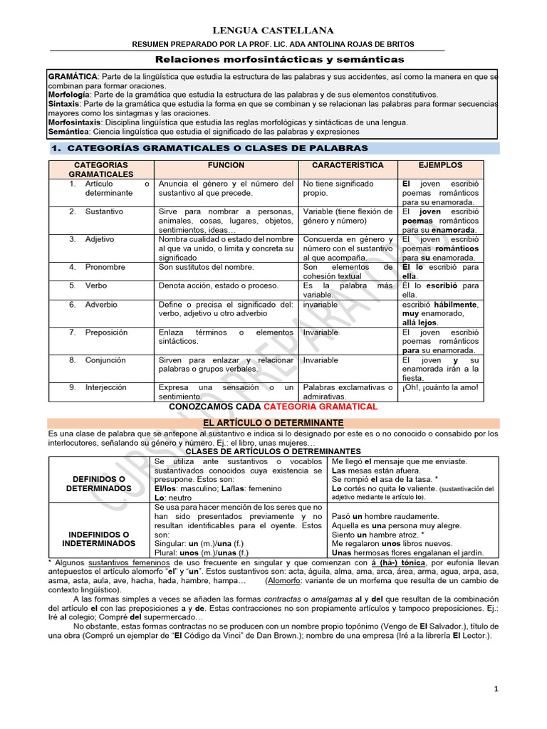 Morfosintaxis y Semántica Castellana | PDF | Palabra | Género gramatical