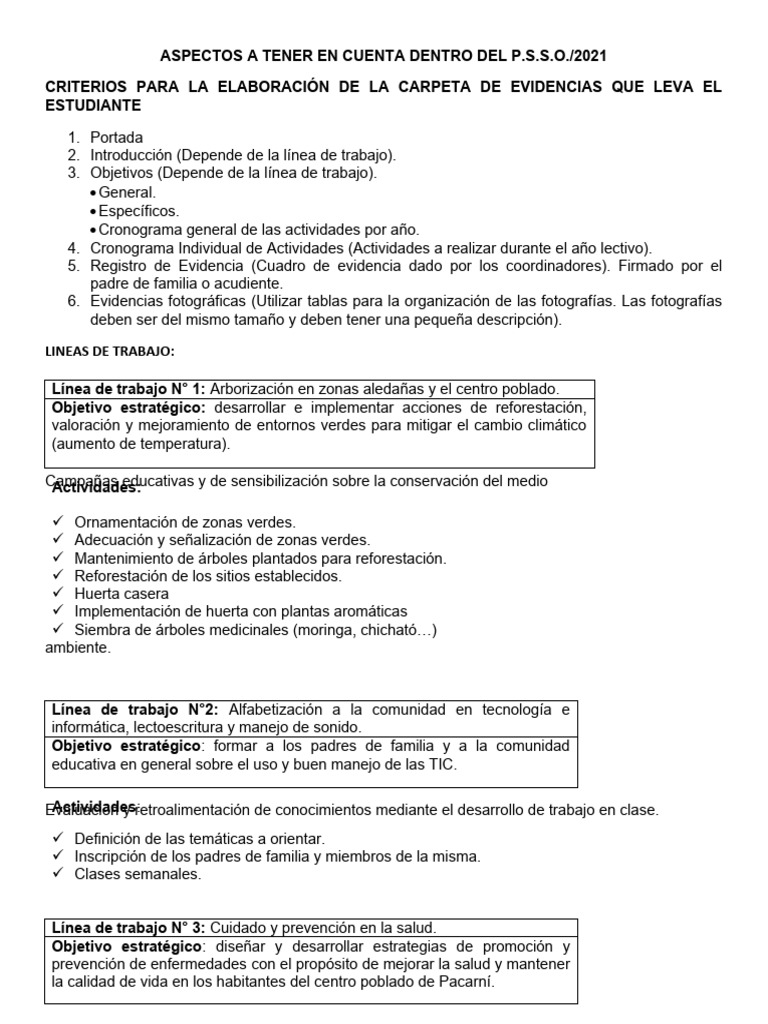 Aspectos Del P.s.s.o-2022 | PDF